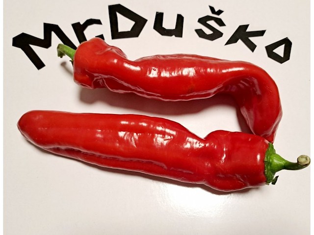 Paprika Sweet Palermo red 100 semena