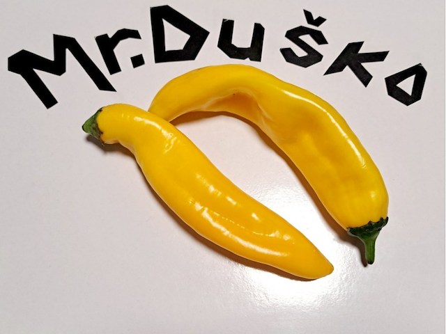 Paprika Sweet Palermo yellow 50 semena