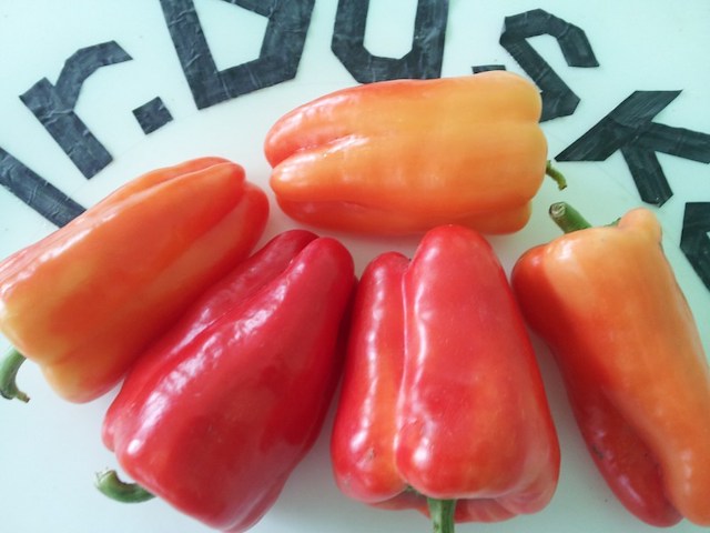 Paprika Bagoly (Sova) 100 semena