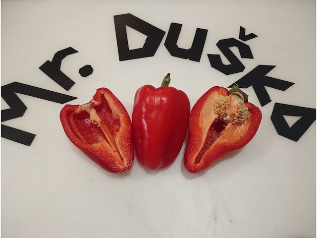 Paprika babura Bibic. 100 semena
