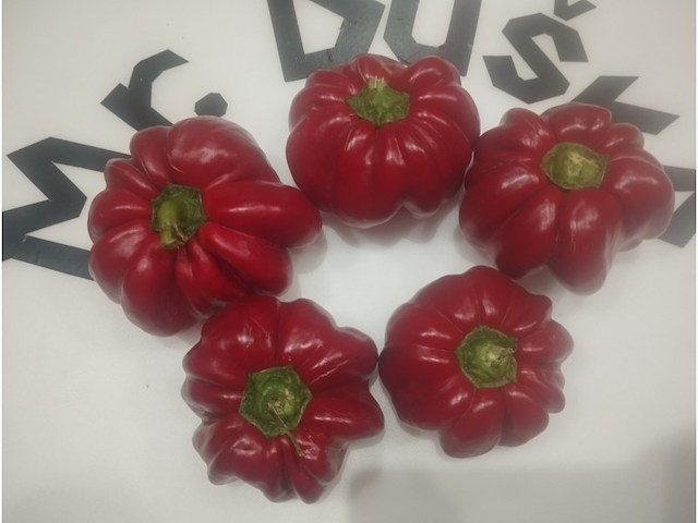 Paprika Rotund 100 semena