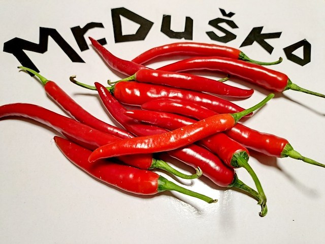 Papričica čili Fire Flame red 100 semena