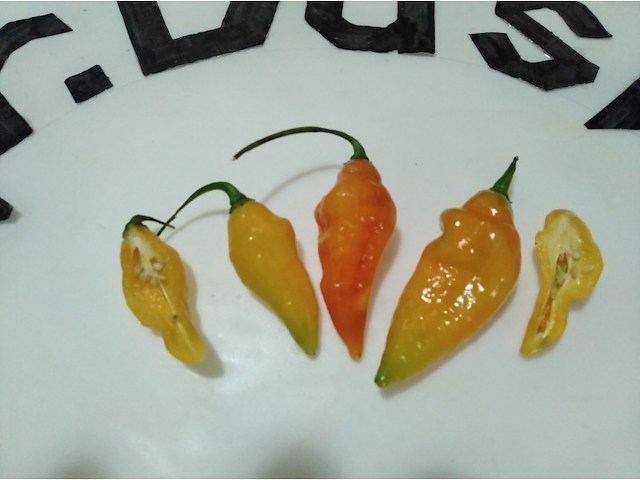 Papričica Čili Fatalli orange 30 semena