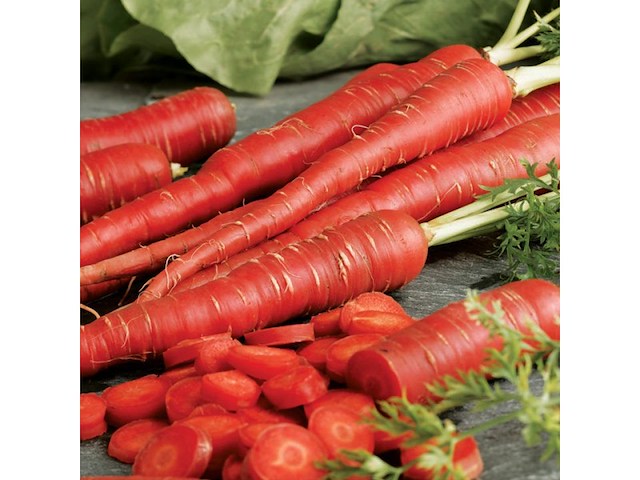 Šargarepa Atomic Red (100 semenki)