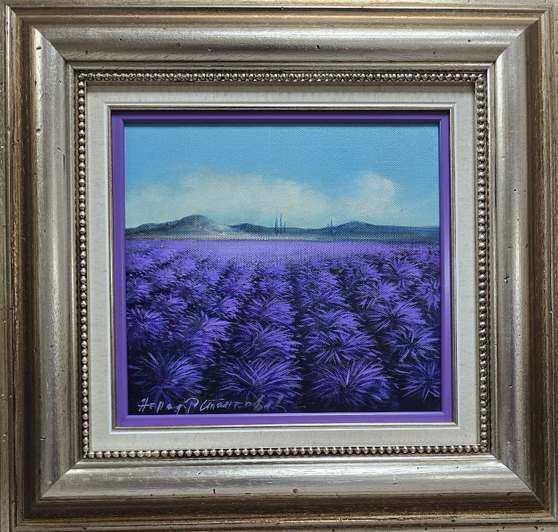 Polje lavandi, prof. Nenad Stanković, ulje na platnu, sa 49×51 cm, bez 27×29 cm, 2026., sertifikat, 53100 dinara