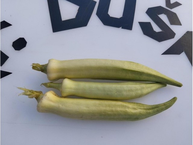 Bamija okra silver 50 semena