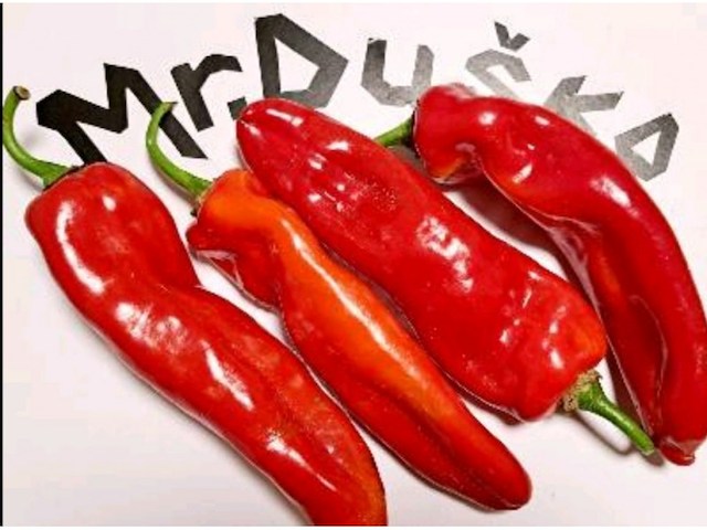Paprika Zoete punt 30 semena