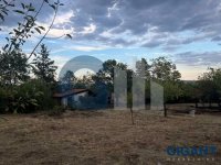 MLADENOVAC Ravanička-Amerić ID: 90464
