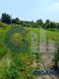 PALILULA Pančevački put ID: 934991104