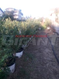 RAKOVICA Miljakovačke staze ID: 68054