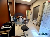VRACAR Stojana Protića ID: 9836419