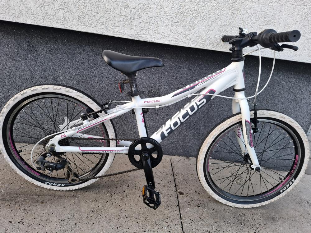 Focus Donna 20"