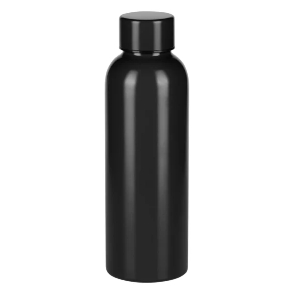 IGLOO boca za vodu od nerđajućeg čelika, 550 ml