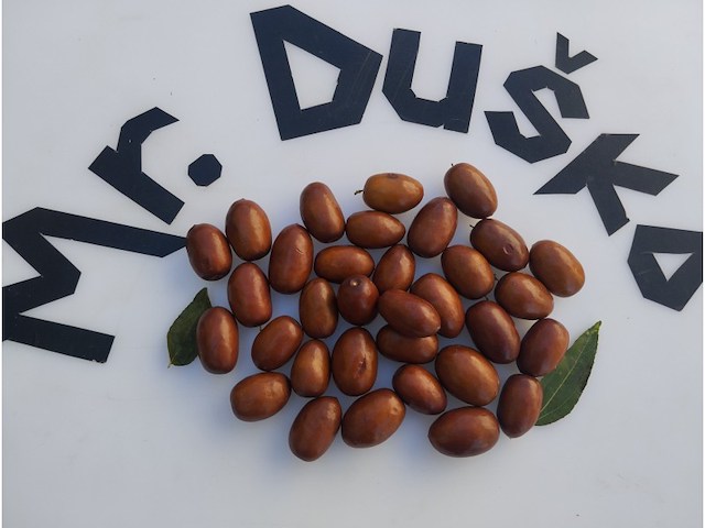 Jujuba, Žižula (azijska urma)  5 semenki