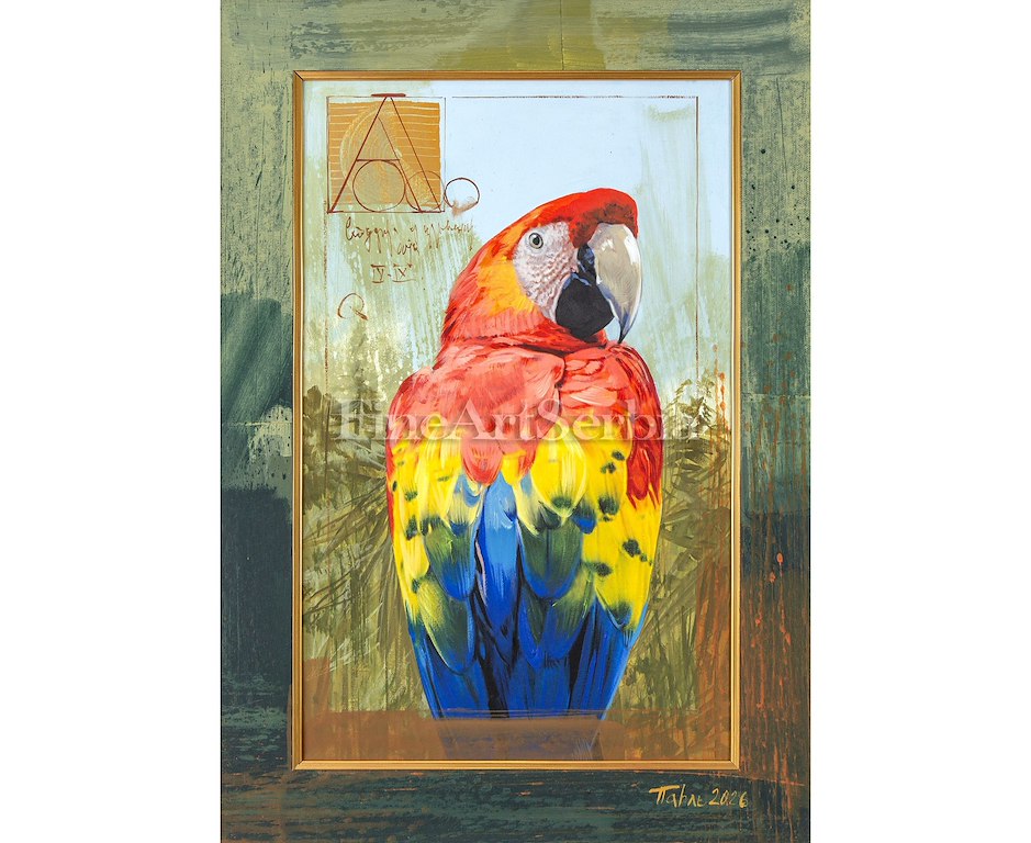 Portret egzotike - Dragan Petrović Pavle