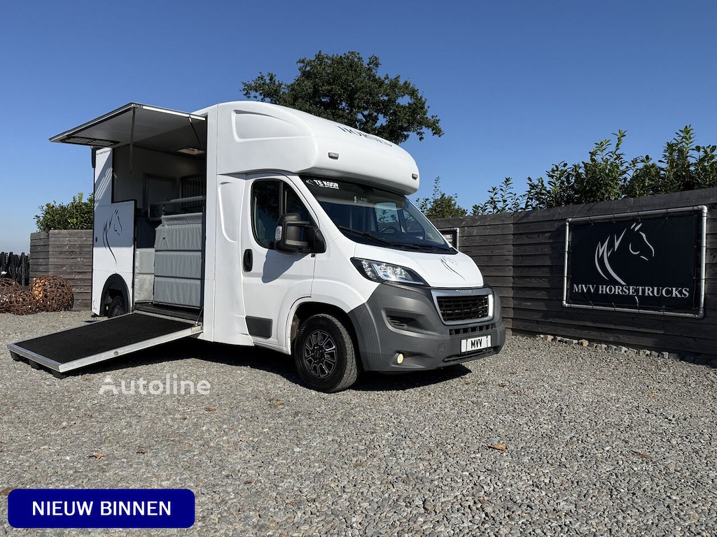 Peugeot Boxer | HORSETRUCK | MSG STABLEHOPPER | COMPETITION 3XL vozilo za prevoz konja