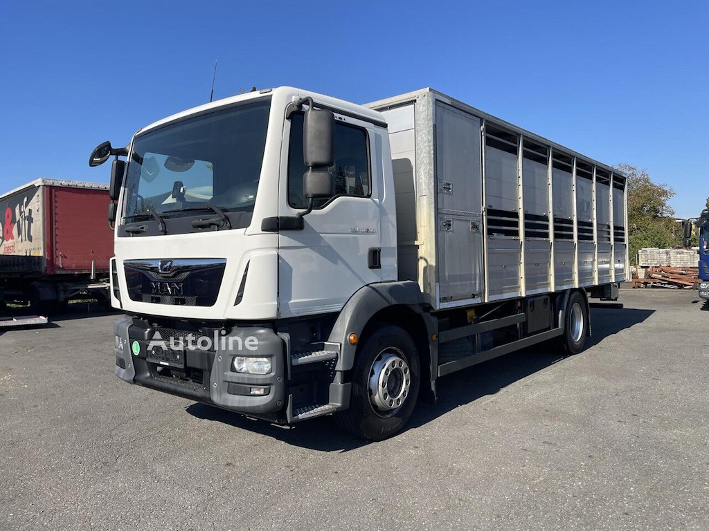 MAN TGM 18.290 kamion za prevoz stoke