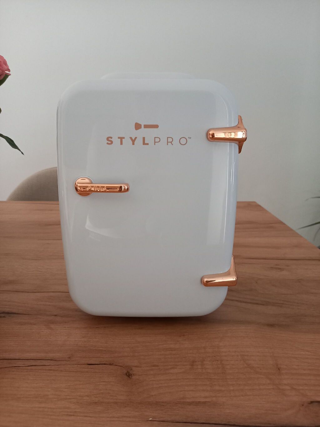 Mini frizider StYlPro 220V Ispravan mini frizider poznatog svetskog