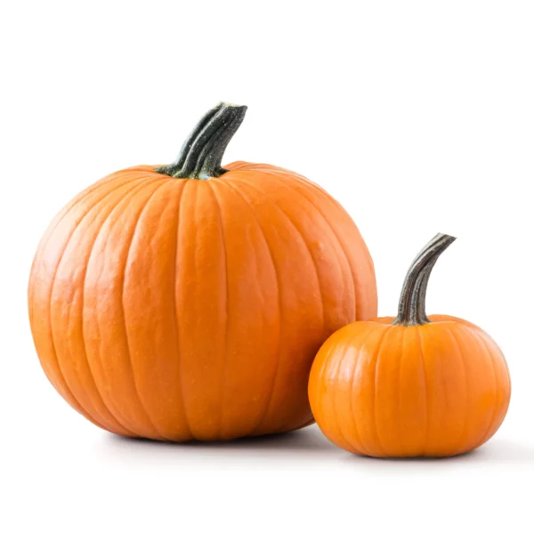 HALLOWEEN BUNDEVA
