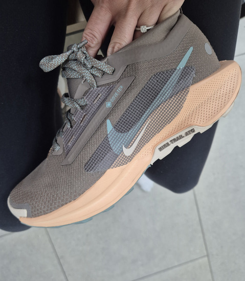 Nike Pegasus Trail 5 Gore-Tex patike