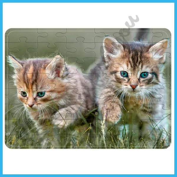 Kitten puzzle