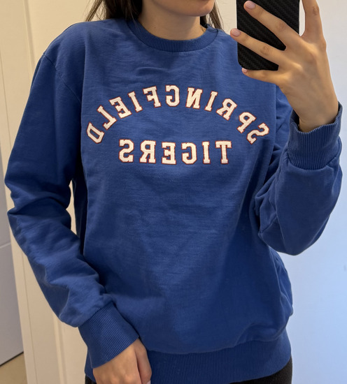Springfield duks