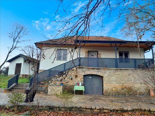 Renovirana kuća sa vinogradom na 17 Ari placa