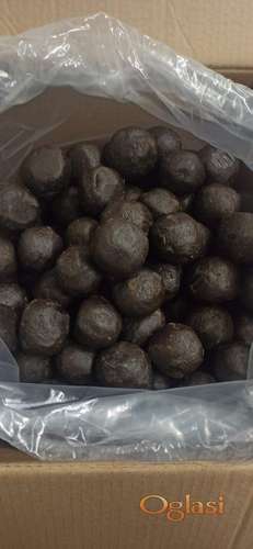 Propolis