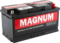 MAGNUM 100Ah