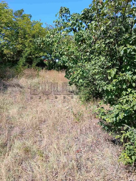Plac, Niš – Mokranjčeva | Izdavanje · 11090m² · 915.500€