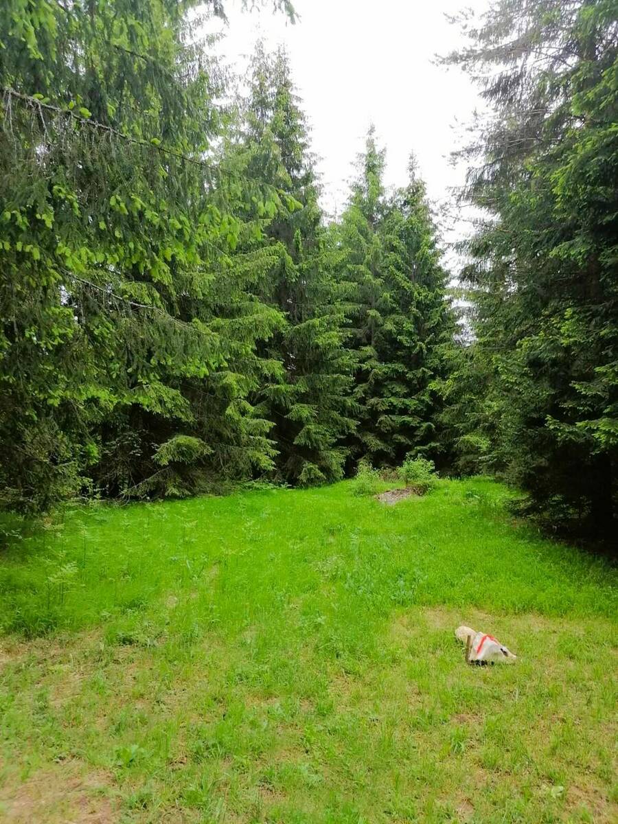 Plac, Bajina Bašta | Prodaja · 580m² · 24.000€