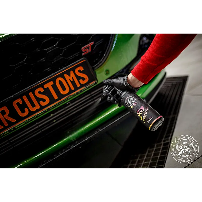 BADBOYS PROFESIONAL SKIDAČ INSEKATA PRO 5L