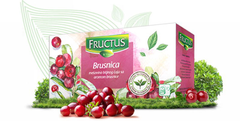 FRUCTUS FILTER CAJ BRUSNICA