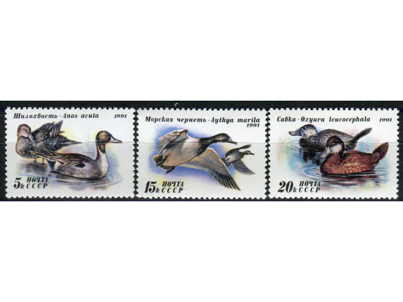 SSSR 1991 - Fauna - Patke- nežigosana serija