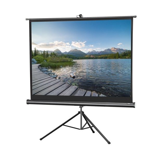 Platno za projektor LEXIN TD9696M tripod 244x244