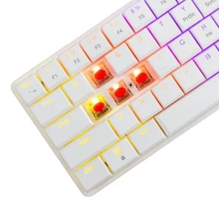 Tastatura White Shark NAGAMAKI 60/Mehanička/Crveni linearni svičevi/RGB/Bela/US