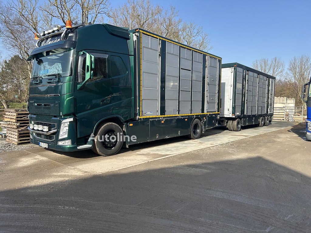 Volvo FH kamion za prevoz stoke + prikolica za prevoz stoke