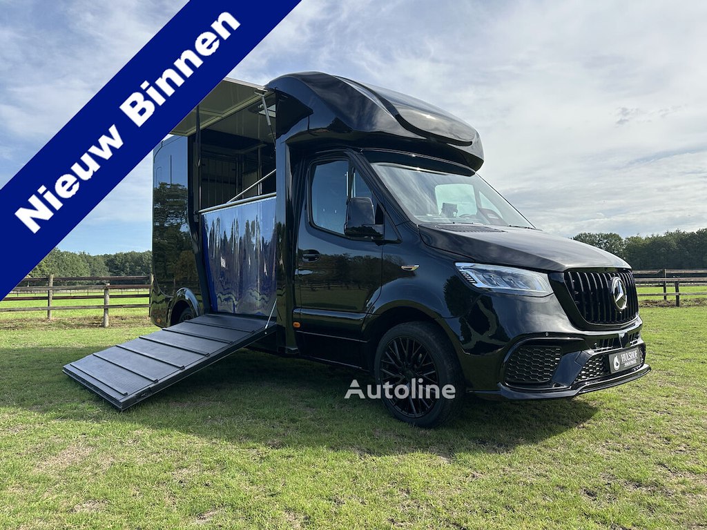 Mercedes-Benz Sprinter 317 AMG 2-paards paardenvrachtwagen vozilo za prevoz konja