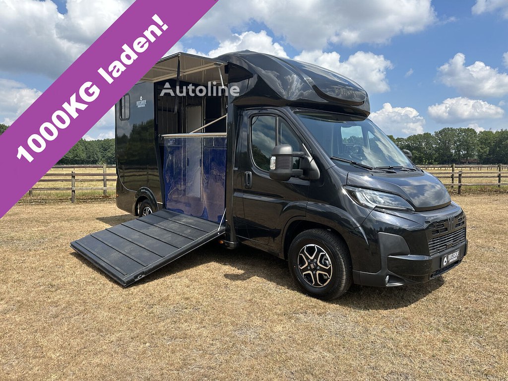Novi Fiat Ducato 3.65T C1-Rijbewijs 2-paards paardenvrachtwagen vozilo za prevoz konja