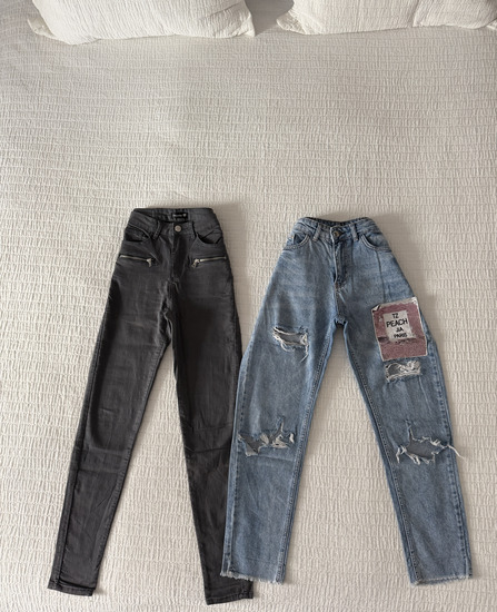 Chicoree sive pantalone