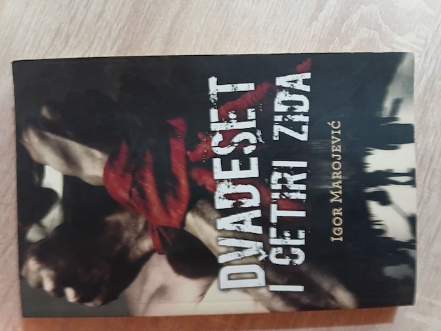 Dvadeset i četiri zida. Igor Marojevic