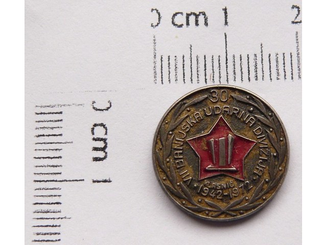 Sedma banijska udarna divizija