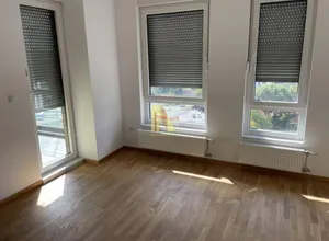 Izdavanje Stan - Novi Sad