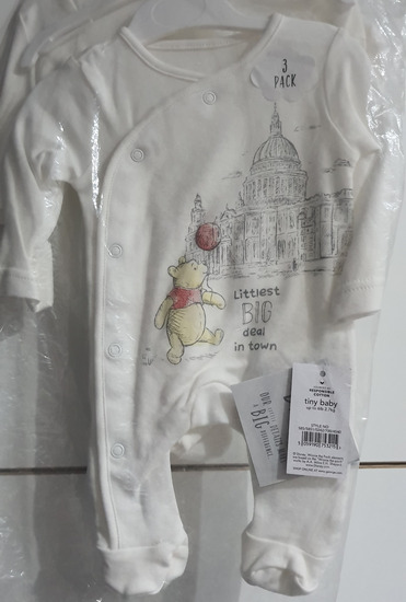 Winnie the Pooh zekica