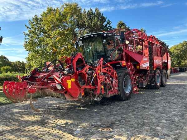 Grimme REXOR 6300 oppels kombajn za repu
