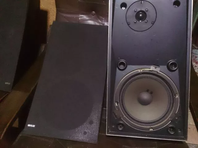 BEOVOX S30