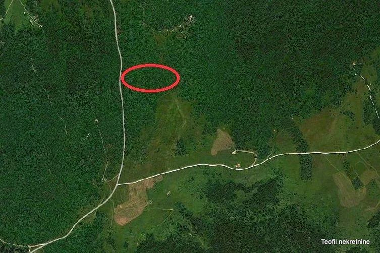 Prodaja, plac, 4400m², Golija, Ivanjica