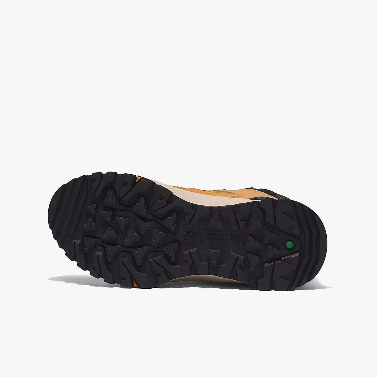 TIMBERLAND Cipele Lincoln Peak