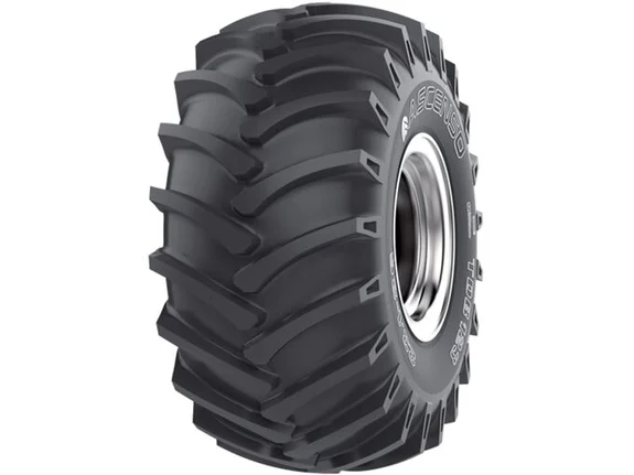 Ascenso guma 23.1-26 TDB123 16PR TT