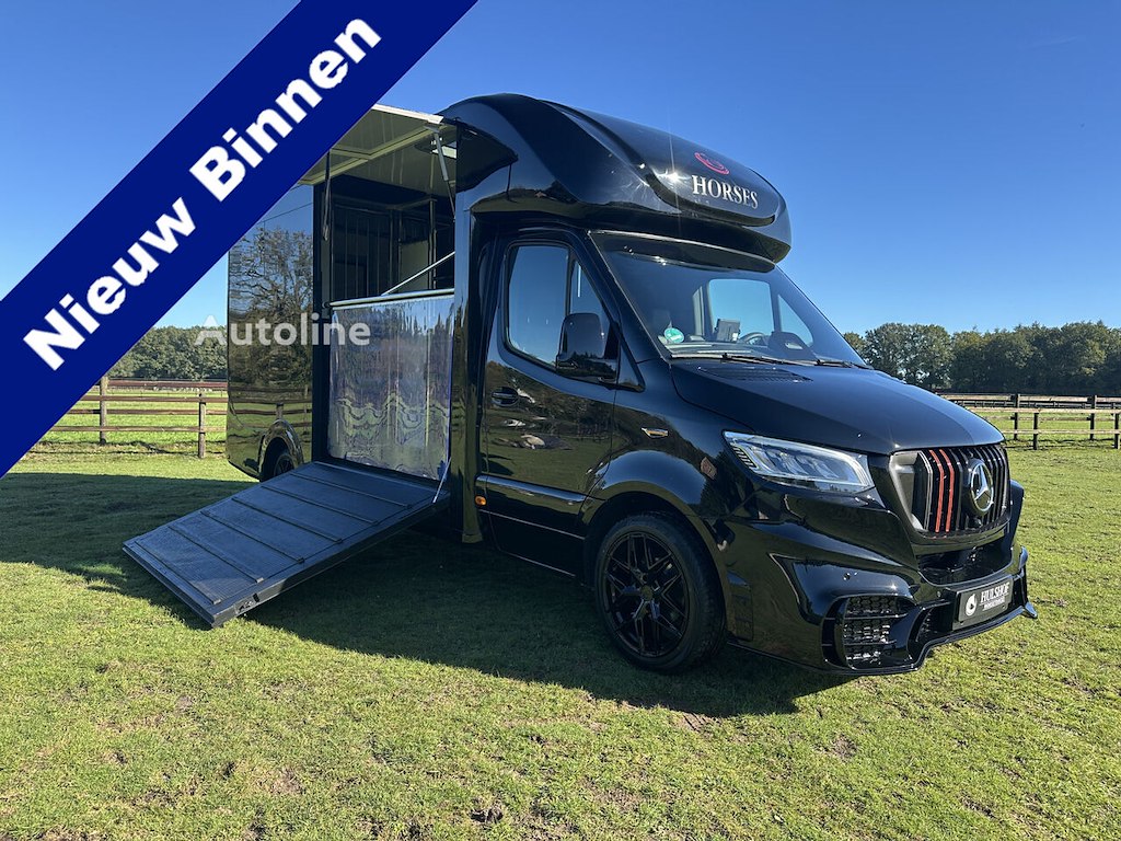 Mercedes-Benz 317 Sprinter AMG XXL 2-paards paardenvrachtwagen vozilo za prevoz konja